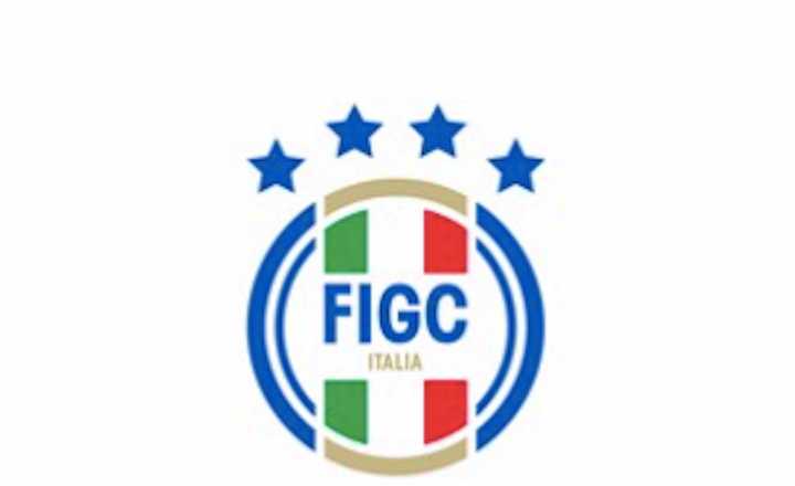 Figc, ecco il nuovo logo|Nazionali | Calciomercato.com