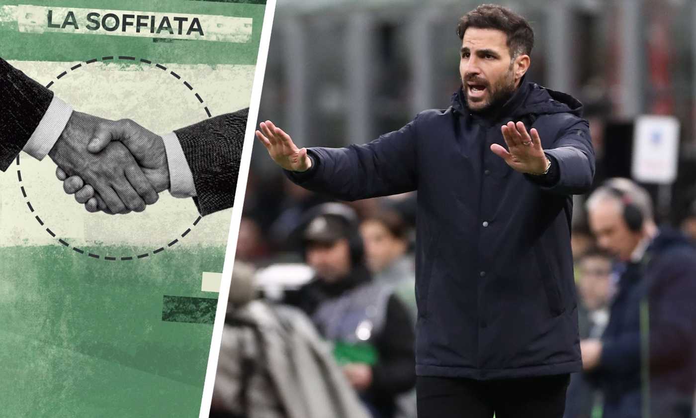 Como, il Milan studia Fabregas per il futuro: il Lipsia lo vuole subito ... Como, il Milan studia Fabregas per il futuro: il Lipsia lo vuole subito ...